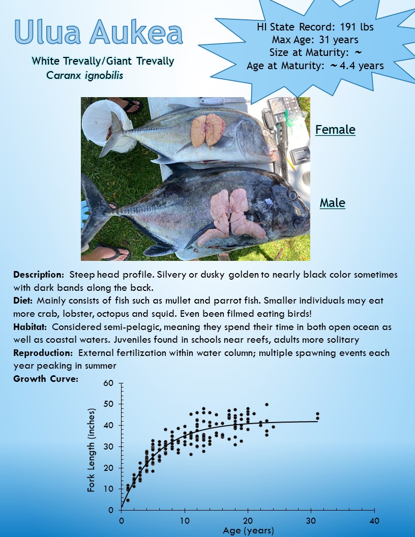 Fish Facts – Poseidon Fisheries Research