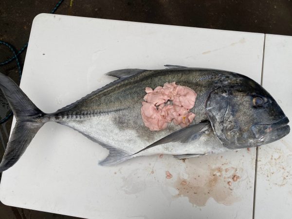 Ulua Aukea – Poseidon Fisheries Research